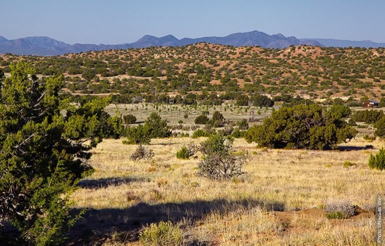 Exploring the Galisteo Basin Preserve - Adrienne DeGuere Sotheby's Santa Fe